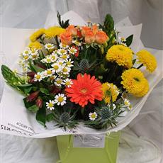 Daisy Chain Hand Tied